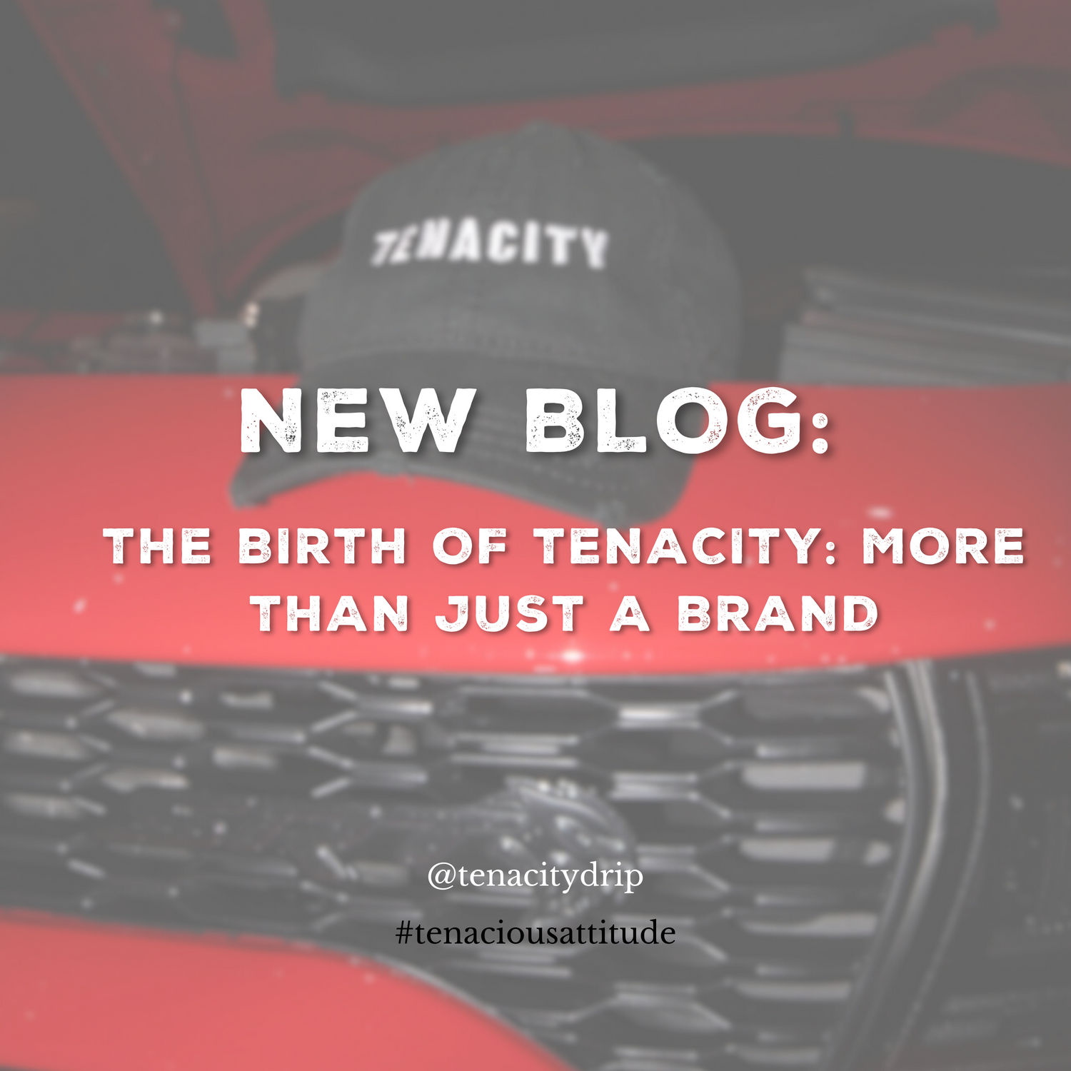 The Birth of Tenacity: More Than Just a Brand